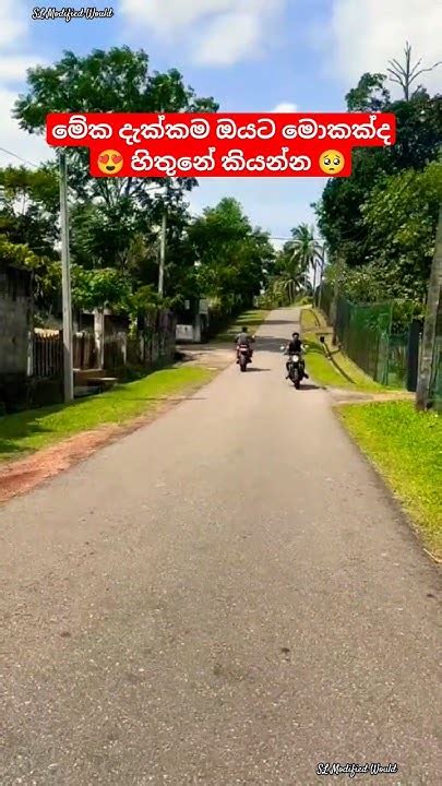 ඒක පිස්සුවක් බම් 🥰 ඒක පට්ට කවුද ආස මේ බයික් එකට ආස අය Coment එක දාන්න අනිවා Shorts Trending