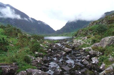 Anthony Mcgeehan Photography Everyone Loves An Underdog Among