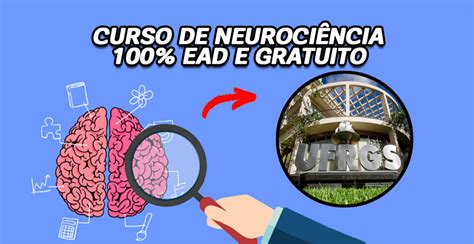 Aprenda Neurociência Em Uma Universidade Federal De Graça E Sem Sair De
