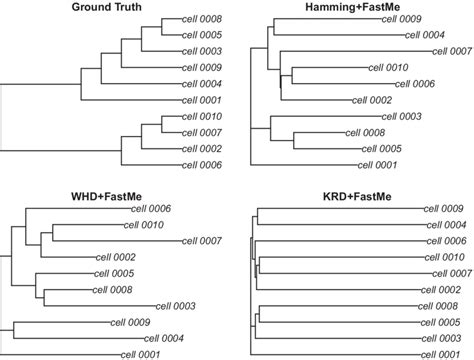 Tree Structure Of 10 Leaf Cells As Determined For Various Standard