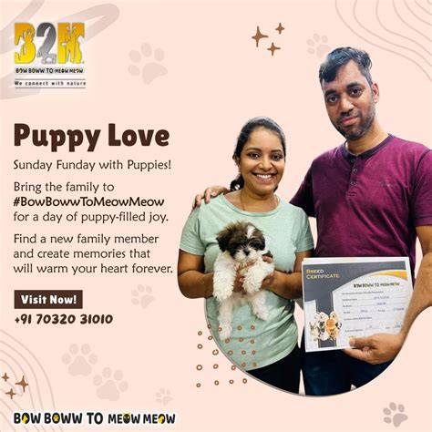 Bow Bow To Meow Meow On Linkedin Bowbowwtomeowmeow Catsofinstagram