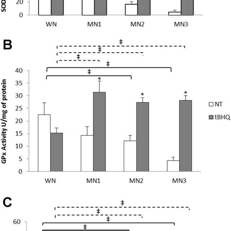 Figure Shows The Enzymatic Activity For A SOD B GPx And C CAT