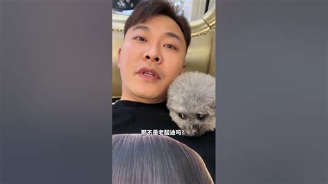 说狗狗的坏话，他是真能听懂的，而且反应速度惊人的快！一人一狗俩逗比 网红狗 狗语十级 小眼神 Youtube