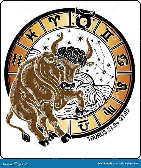 Taurus And The Zodiac Sign Horoscope Circle Vecto Stock Vector