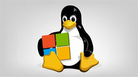 Arriva Microsoft Linux Defender Aggregatore Gnulinux E Dintorni