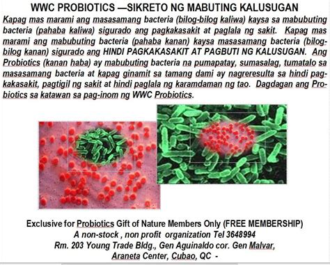 Wwc Probiotics Mas Marami Ang Masamang Mikrobyo Sa Facebook