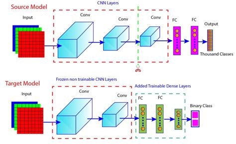 Unlock AI Potential Transfer Learning Essentials
