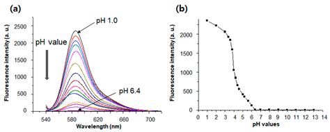 IJMS | Free Full-Text | Rhodamine-Based Cyclic Hydroxamate as ...