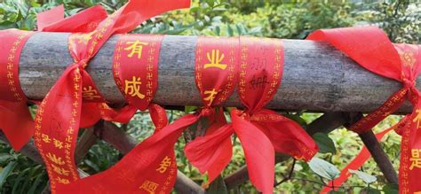 渝你研学 领略城市大峡谷，阅读千年濯水古镇研学旅行活动回顾 搜狐大视野 搜狐新闻