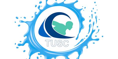 Teesside Wildcats Teesside Wildcats Cheerleading