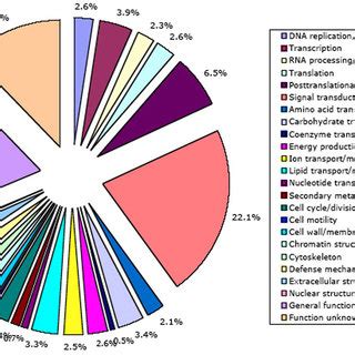 Overview Of Protein Encoding Gene Functions Overview Of Download Scientific Diagram
