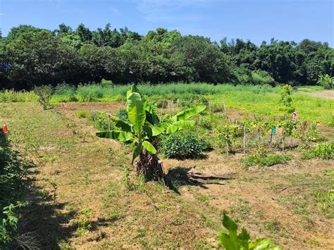 農地芎林89公頃產業專區田新竹縣芎林鄉富林段448地號 樂屋網 土地買賣
