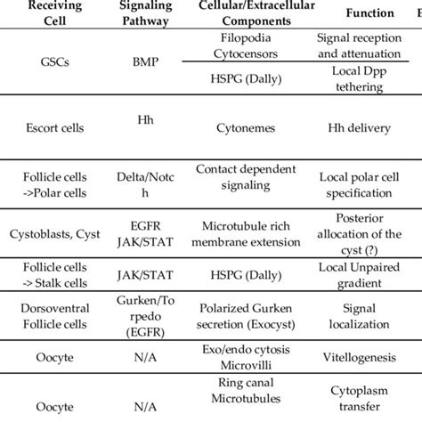 Modification Of Cell Cell Interaction By Cellularextracellular Modification Of Cell Cell Interaction By Cellularextracellular