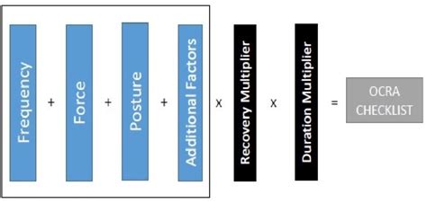 Ocra Checklist Calculation Procedure Download Scientific Diagram