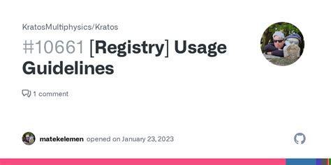 [registry] usage guidelines · issue 10661 · kratosmultiphysics kratos