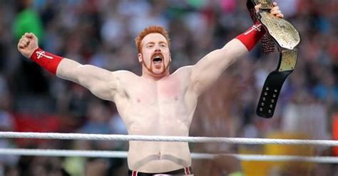 Piledriver Reigns To Challenge Sheamus For Wwe Title