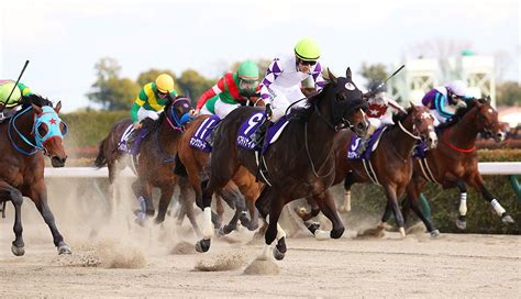 【フェブラリーステークス2025予想】本命馬情報・穴馬情報・血統馬情報・調教追い切り情報・過去10年データー分析と傾向・コース解説3連単