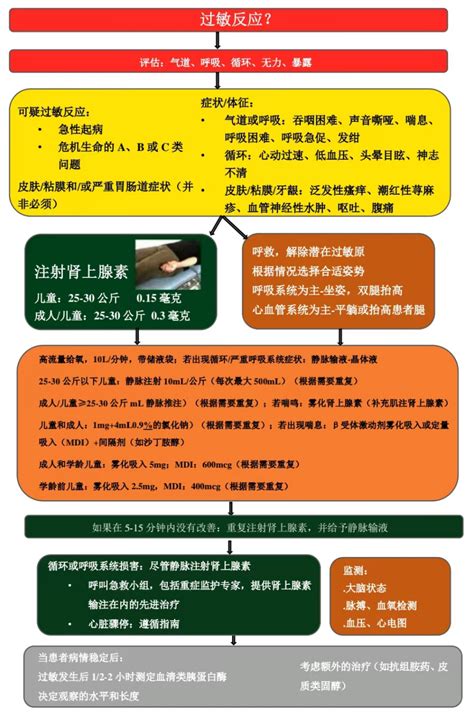一图说清急性过敏反应的识别与处理医学界 助力医生临床决策和职业成长