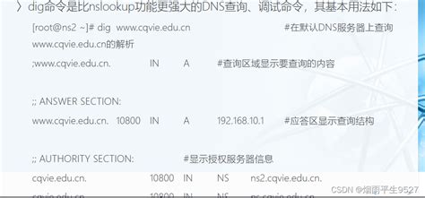linux友人帐之网络编程基础dns服务器 通常我们在局域网中判断一个主机是否可以访问 一般使用ping去访问该主机名即可 最 csdn博客