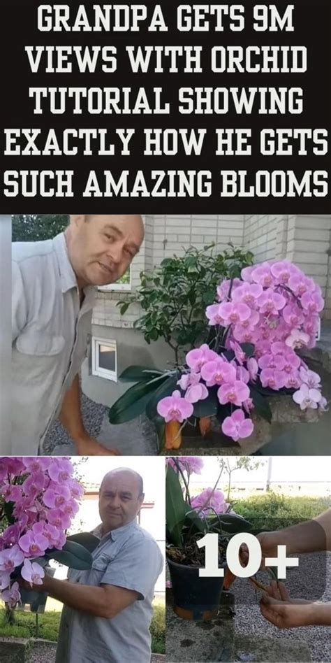 Grandpa Gets 9m Views With Orchid Tutorial Showing Exactly How He Gets