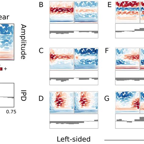 Higher Order Basis Functions A Explanation Of The Visualization Of Download Scientific