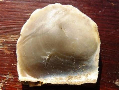 The Art Of Knapped Flints And Stone Tools