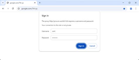 Centos Stream 10 Squid Basic Authentication Server World