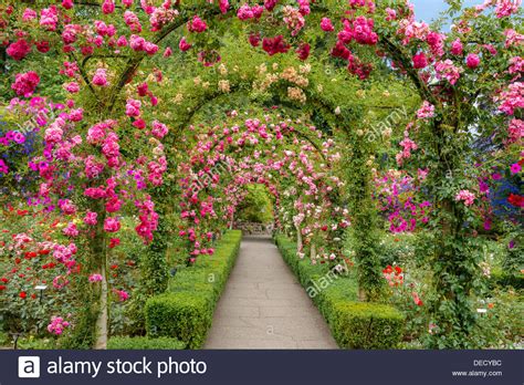 The Rose Garden Butchart Gardens Brentwood Bay Near Victoria Stock