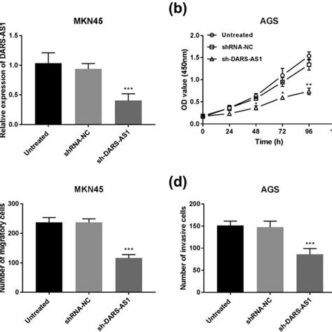 Downregulation Of Dars As1 Suppresses Proliferation Migration And