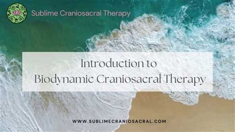 Introduction To Biodynamic Craniosacral Therapy Global Massage