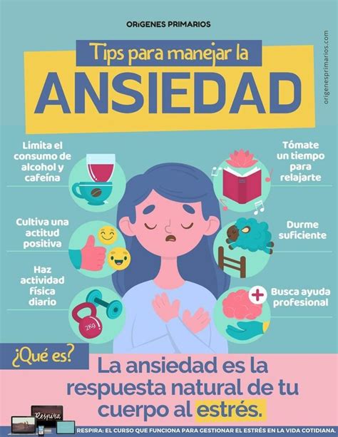 Cómo Ser Un Poco Más Organizado Infografia Infographic Productividad
