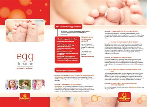 Egg Donation Brochure Baby Mom