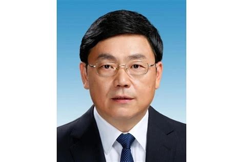 张智刚国家电网有限公司董事长、党组书记搜狗百科