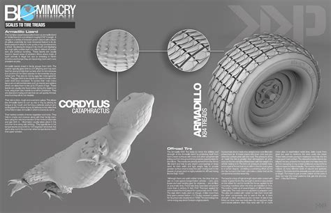 Biomimicry Armadillo Lizard Atv Kevin Prendergast Technical Illustrator