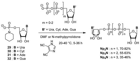 Molecules Free Full Text Synthetic Strategies For Dinucleotides