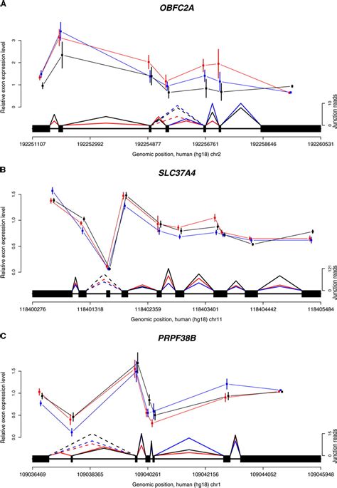 Sex Specific And Lineage Specific Alternative Splicing In Primates