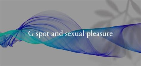 My Biology Dictionary MY BIOLOGY DICTIONARY