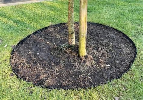 Core Edge Metal Tree Edging Rings 3 Sizes 3 Colours