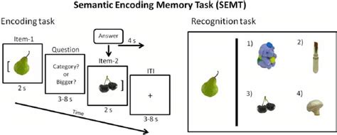 semantic encoding memory task semt was created to assess deficit in