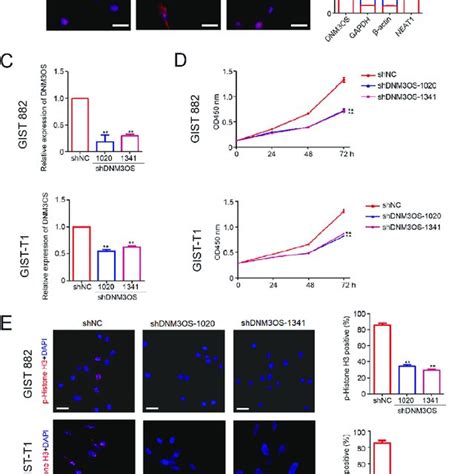 Contour Maps For Estimating The Risk Of Gist Recurrence After Surgery Download Scientific