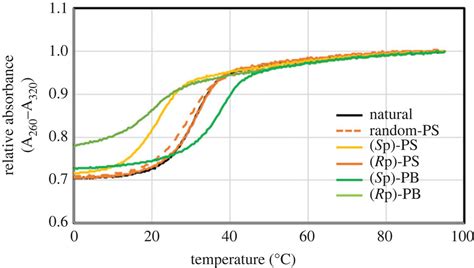 Solid Phase Synthesis And Properties Of Stereocontrolled Boranophosphate Phosphate And