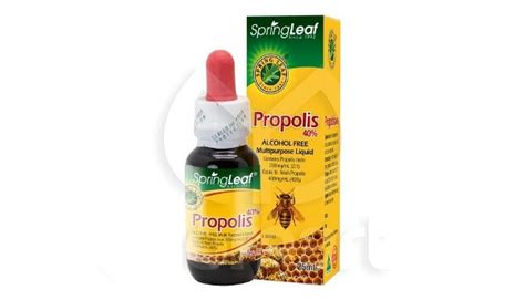 Spring Leaf Propolis Liquid Alcohol Free 40