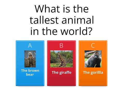 Comparative And Superlative General Knowledge Quiz