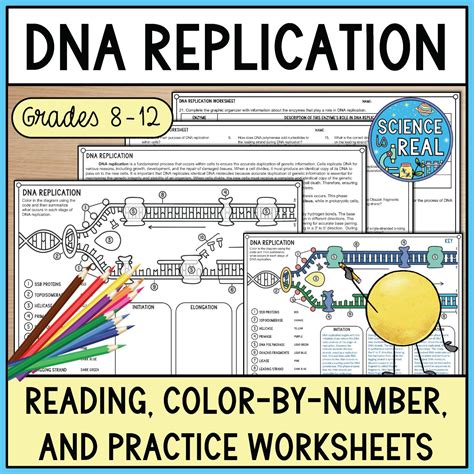 6 Fun And Engaging Dna Replication Activities Science Is Real Education