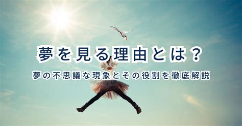 夢を見る理由とは？夢の不思議な現象とその役割を徹底解説 Oyasuimee