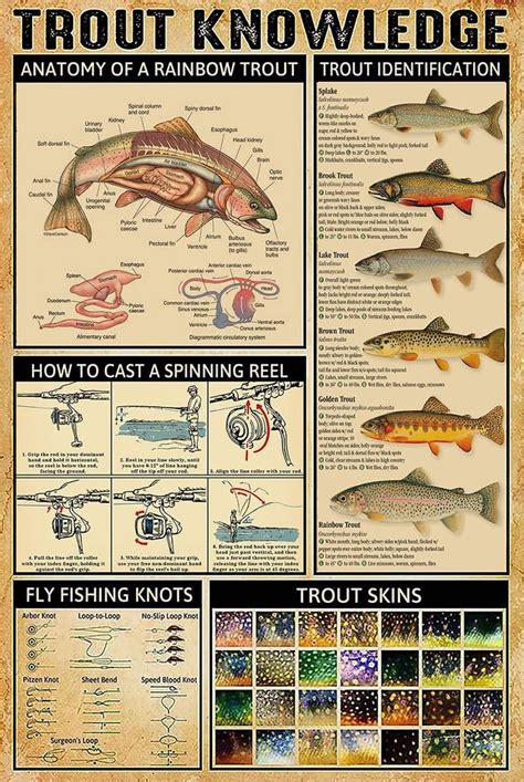 Starotore Trout Knowledge Retro Poster Metal Tin Sign Wall Art Infographic Analysis For