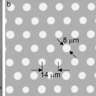 Fabricated Fib A Scanning Electron Microscopy Sem Image Of The Download Scientific Diagram