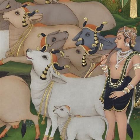 Krishna With Cows 06 Krishna Indian Art Paintings Pichwai Paintings