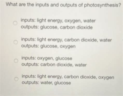 Solved What Are The Inputs And Outputs Of Photosynthesis Inputs