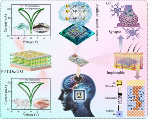TiOx Based Implantable Memristor For Biomedical Engineering ACS Applied Materials Interfaces